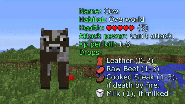 Raw Beef Minecraft
