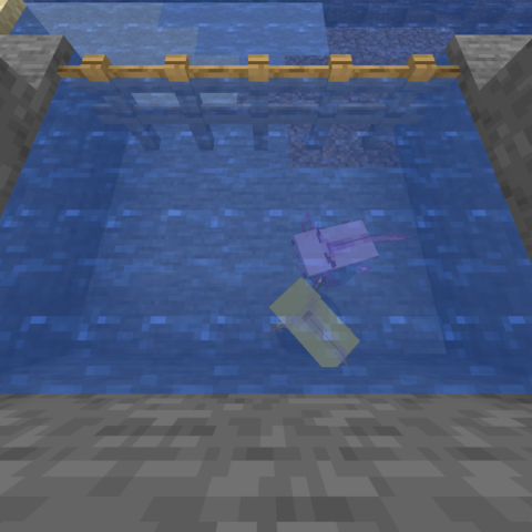 How To Breed Tropical Fish In Minecraft? Complete Guide!
