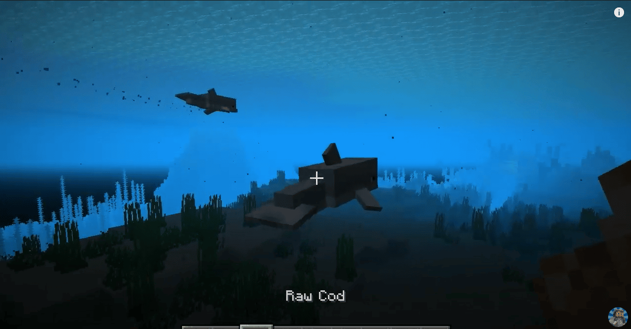 What Do Dolphins Eat In Minecraft? And How to Feed them?
