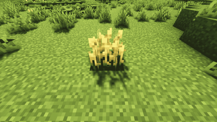 Ultimate Minecraft Crop Farming Guide (1.19) Complete Guide